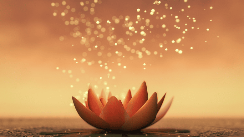 La réincarnation et l’au-delà. Que sait-on vraiment ? | Vibratis