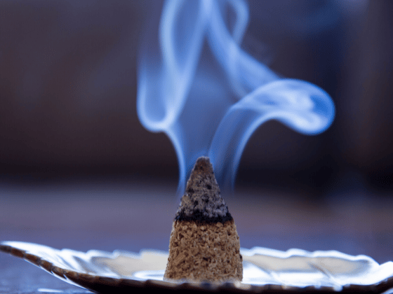 Les Bienfaits et Vertus Ancestrales de l'Utilisation des Encens | Vibratis